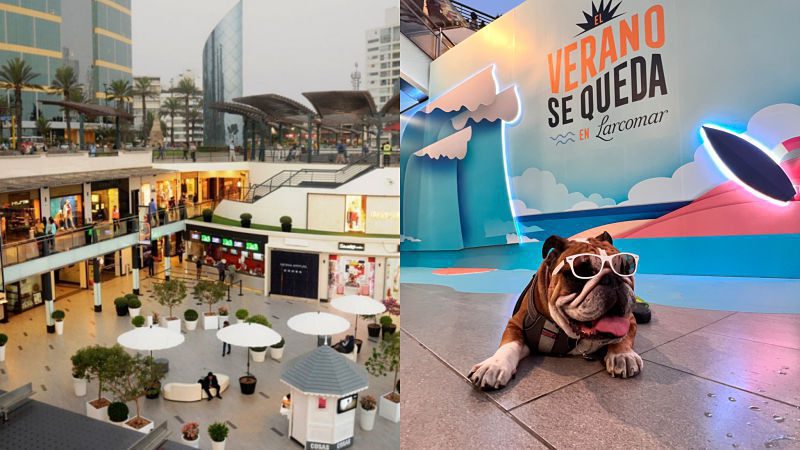 Pet Friendly: Estos son los malls que te permiten ir con tu mascota