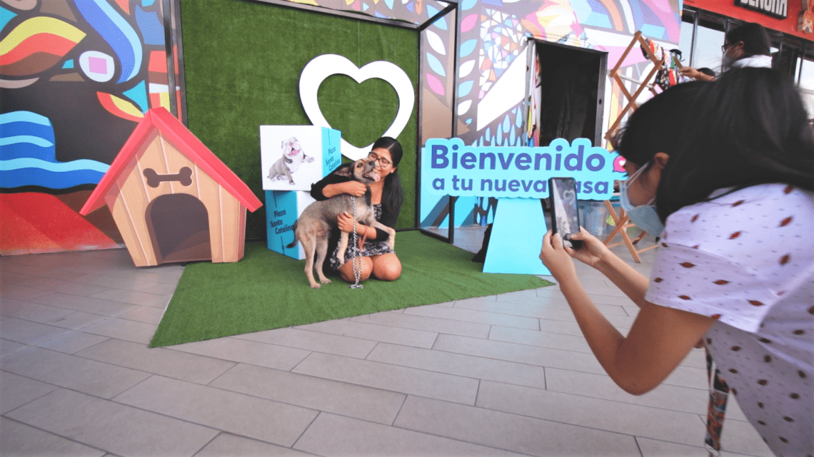 Pet Friendly: Estos son los malls que te permiten ir con tu mascota