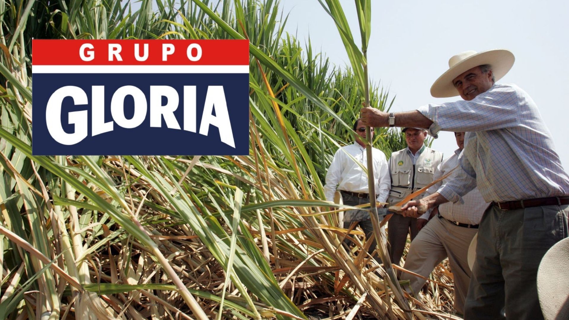 Grupo Gloria: Indecopi evalúa compra de Agrícola del Chira y su impacto ...