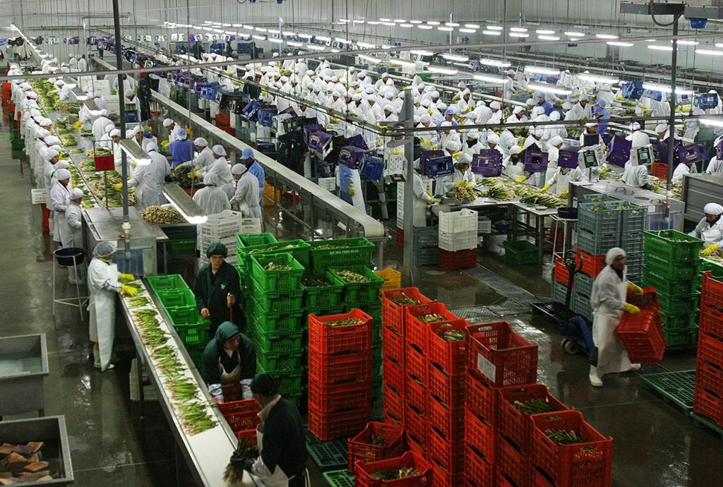 Perú busca impulsar agroexportaciones con nuevas ofertas y mercados