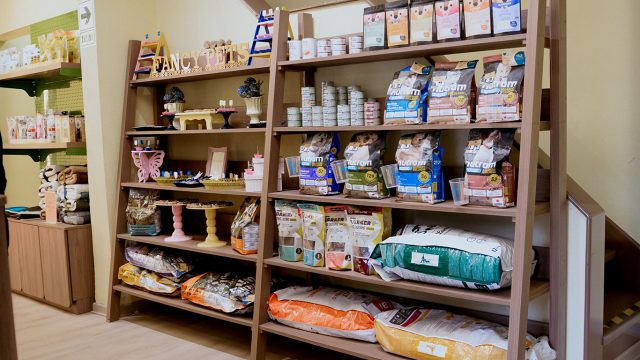 Fancy Pets inaugura nueva tienda con experiencia de lujo para mascotas ...