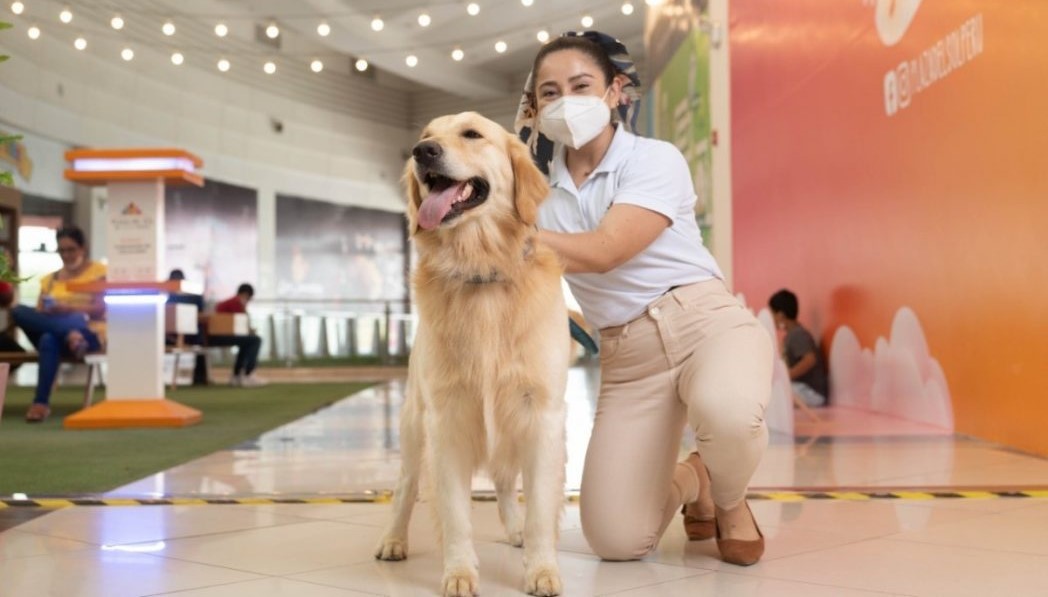 Pet Friendly: Estos son los malls que te permiten ir con tu mascota