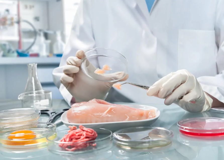 Estados Unidos aprueba la venta de carne cultivada en laboratorio Estados Unidos aprueba la venta de carne cultivada en laboratorio